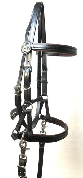 Wild Style Bitted Or Bit Less Halter Bridle Side Pulls All In One