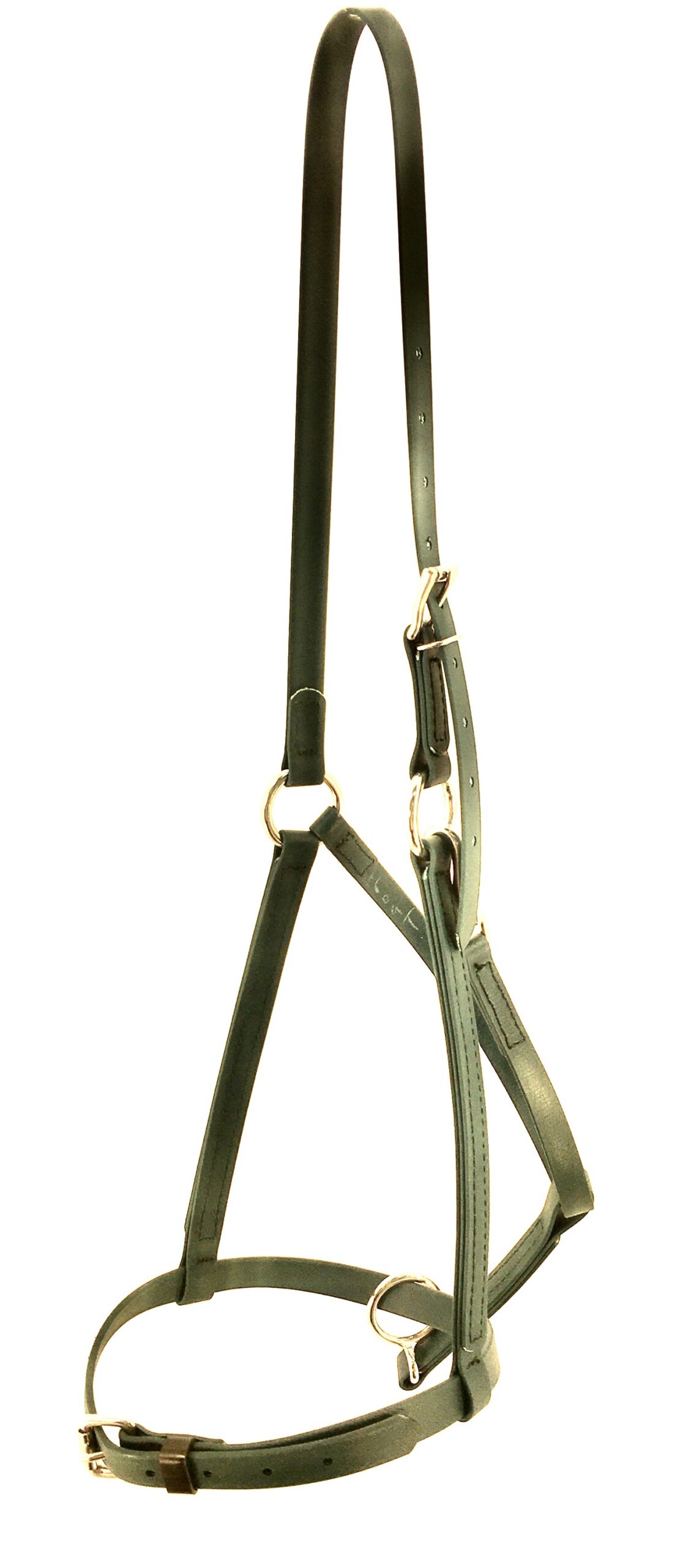 Driving Halter - Narrow and Light for Driving Bridle