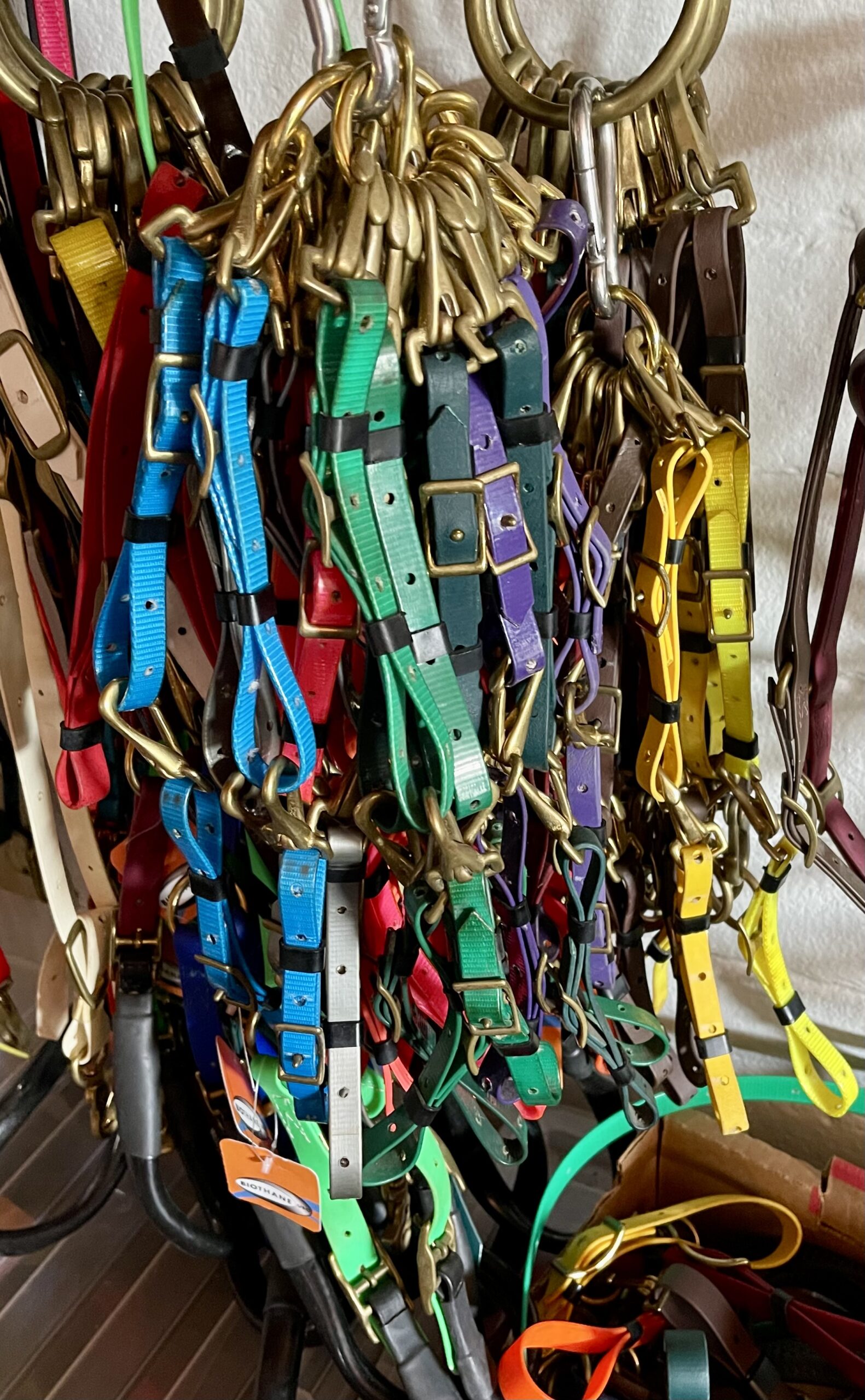 Snap On Bit Hangers for Halter Bridles in Biothane / BETA & Brass ...